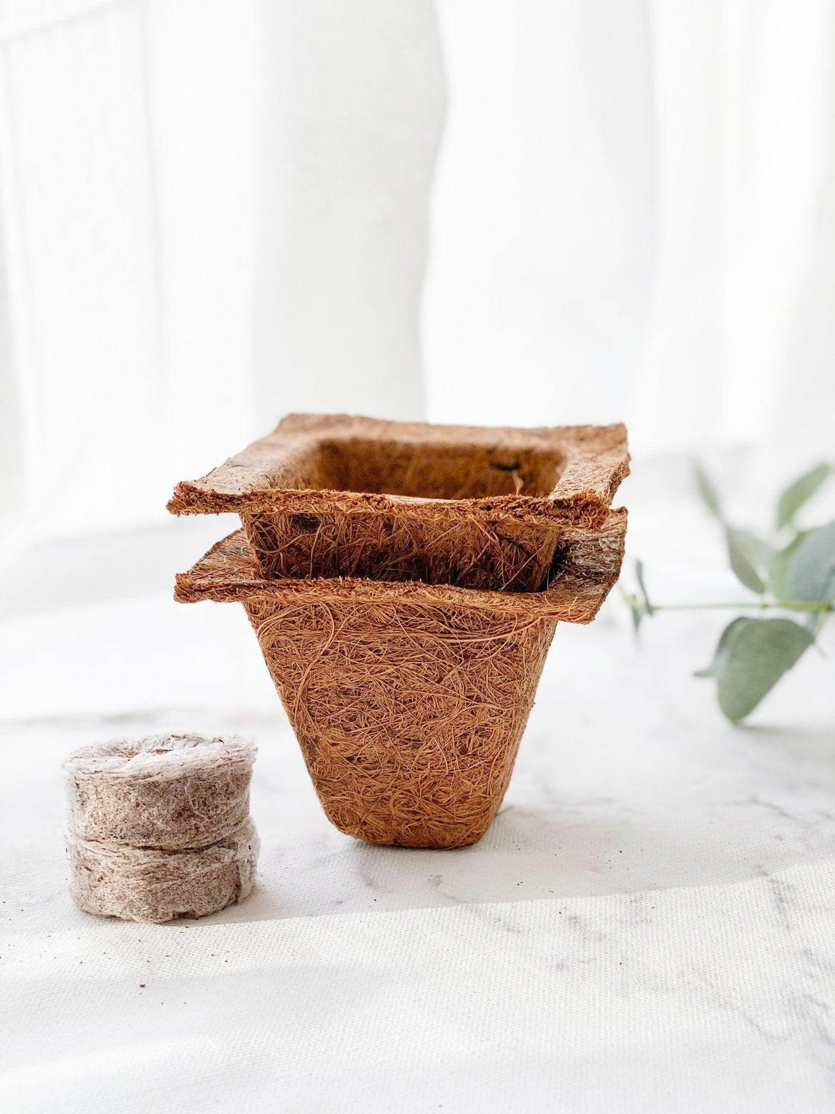 Coco Pot + Coco Peat
